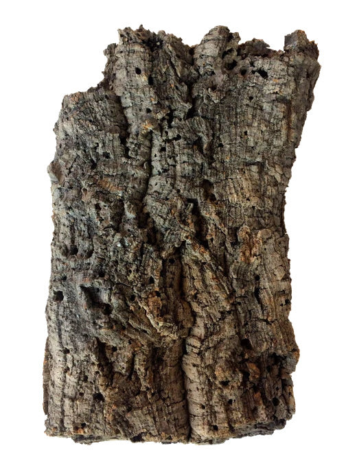 Cork Mount – Diameter Plants