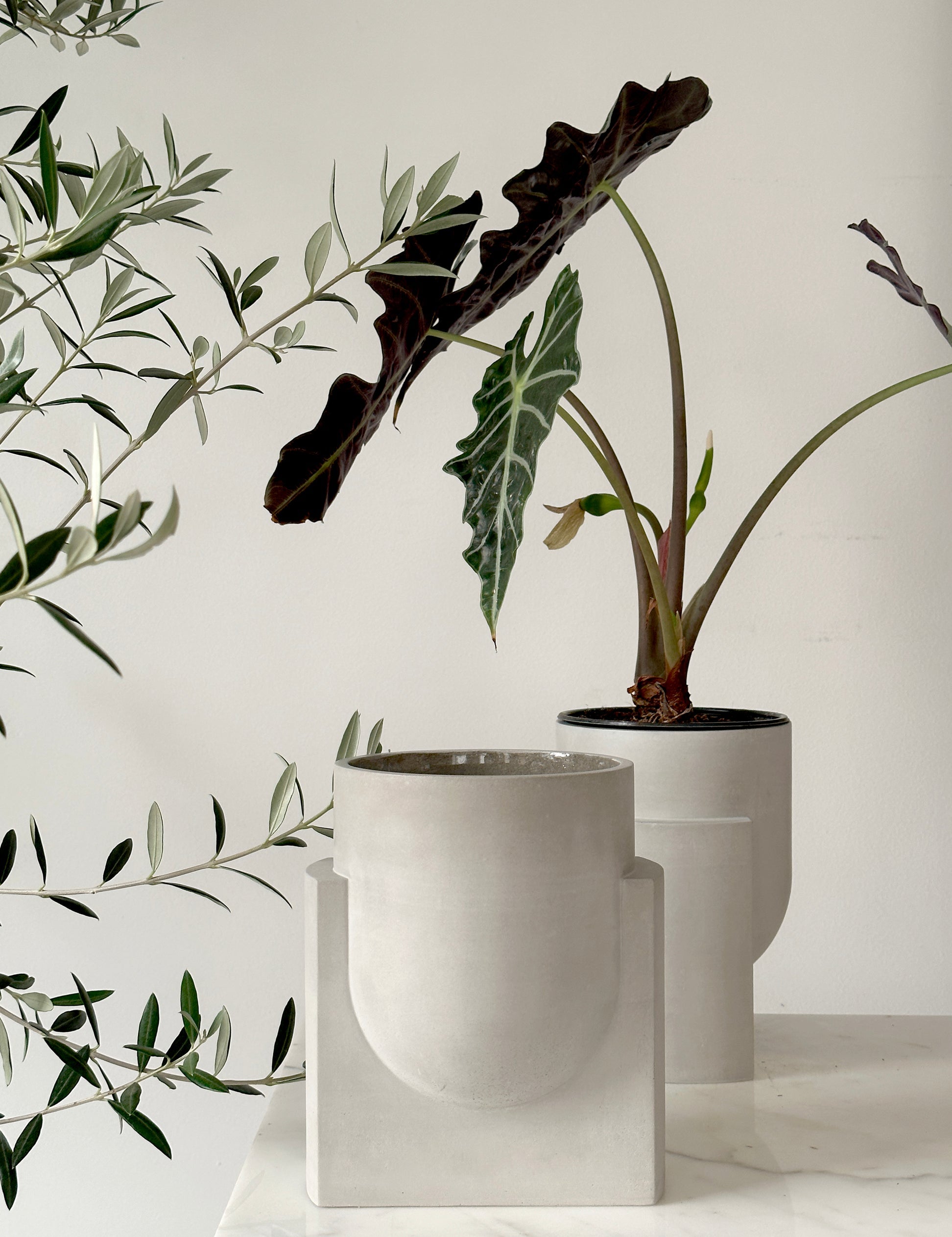 Pluto Planter – Diameter Plants